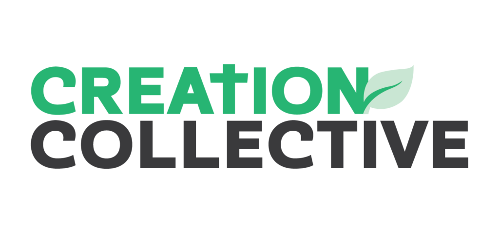 Creation Collective