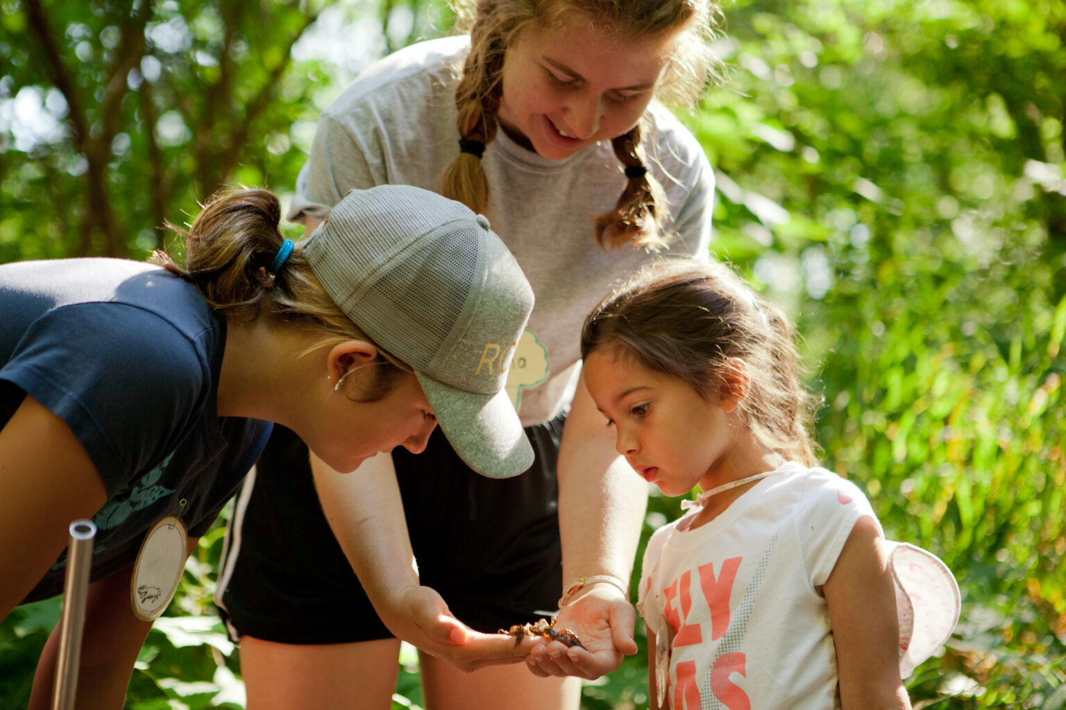 Resources - Creation Collective