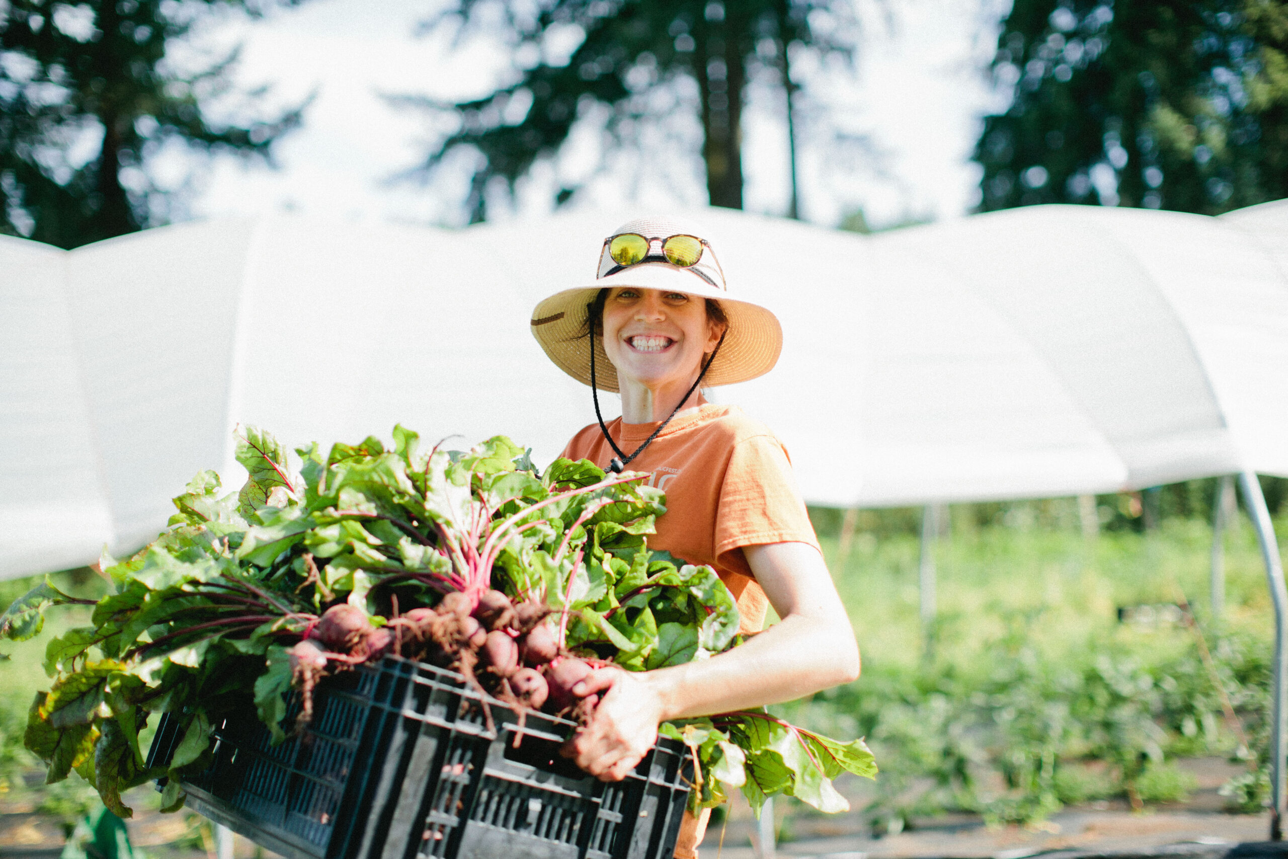 Resources - Creation Collective