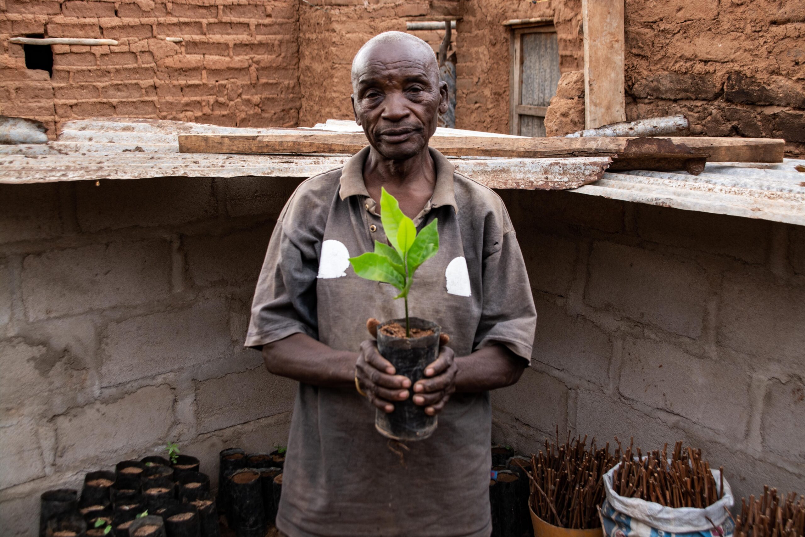 Take Action - Creation Collective